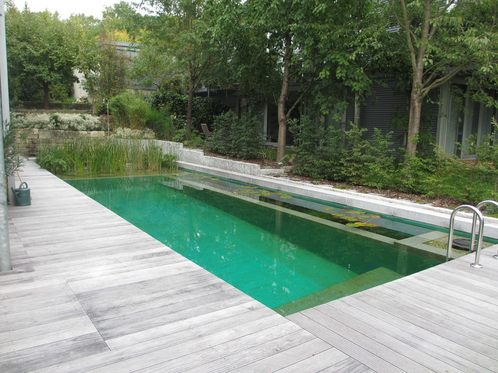 BioNova Natural Swimming Pools - International - Pool - New York - by ...