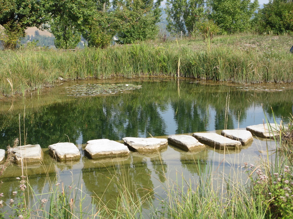 BioNova Natural Swimming Pools - International - Pool - Turin - by ...