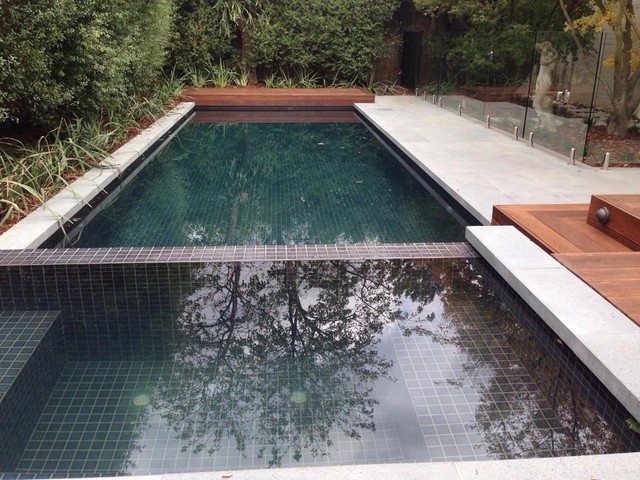 Blackburn - Contemporary - Pool - Melbourne - by Seyffer Designs | Houzz AU