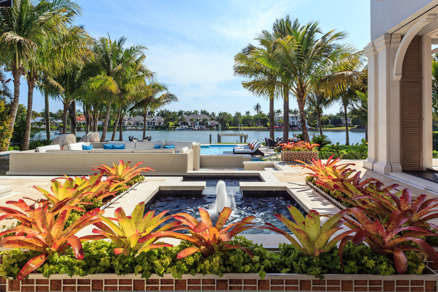 Bromeliad Beauty - Tropical - Pool - Miami - by GardenBleu Designs LLC ...