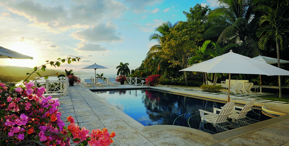 Caribbean Garden - Tropical - Pool - Miami - by Craig Reynolds ...