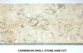 Caribbean Shell Stone - Tropical - Pool - Miami - by Coral Classics by A&P