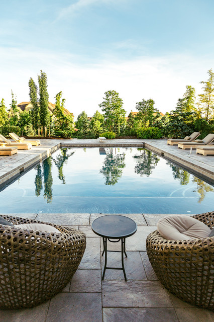 Large Backyard Pool - Transitional - Swimming Pool & Hot Tub - Salt ...