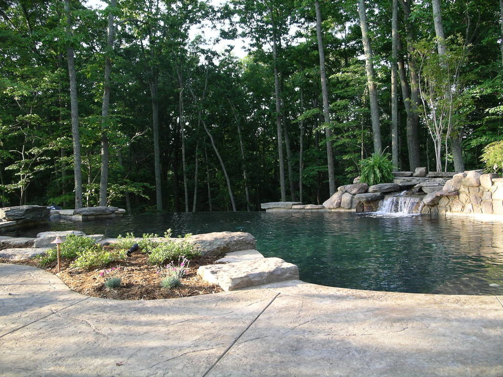 Chapel Hill pool, landscape - Traditional - Pool - Raleigh - by Down to ...