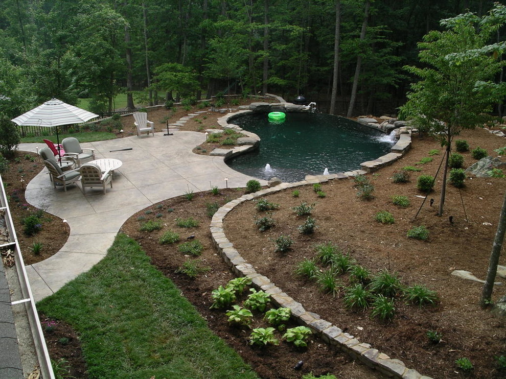 Chapel Hill pool, landscape - Traditional - Pool - Raleigh - by Down to ...