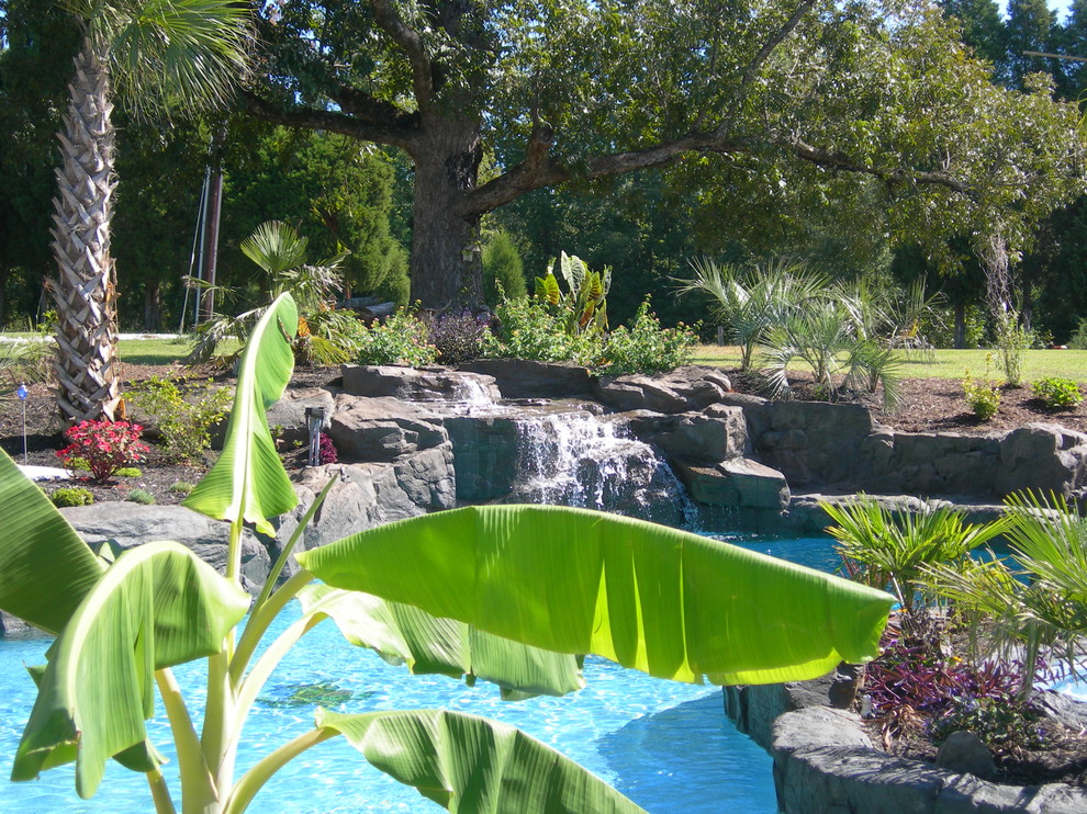 Charlotte Area Island Living - Tropical - Pool - Charlotte - by Falling ...