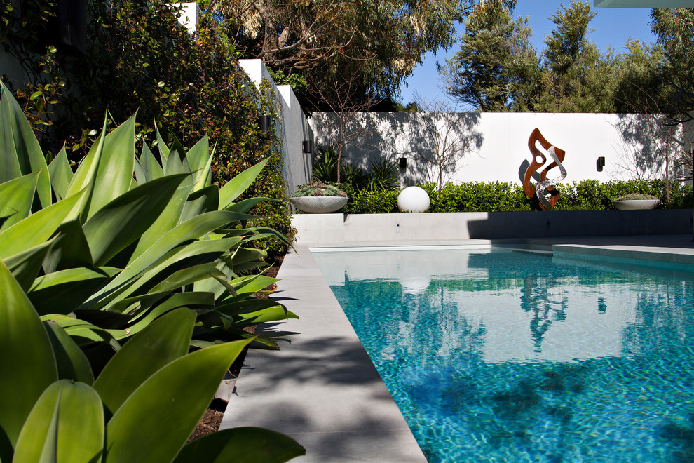 City Beach - Contemporary - Pool - Perth - by Tim Davies Landscaping ...