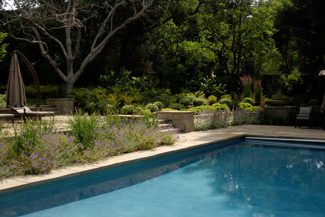Classic Modern - Traditional - Pool - San Francisco - by Strata ...