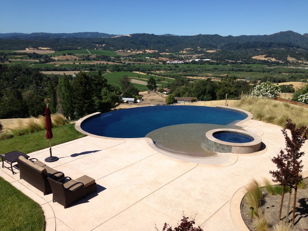 Cloverdale Hillside Property - Contemporary - Pool - San Francisco - by ...