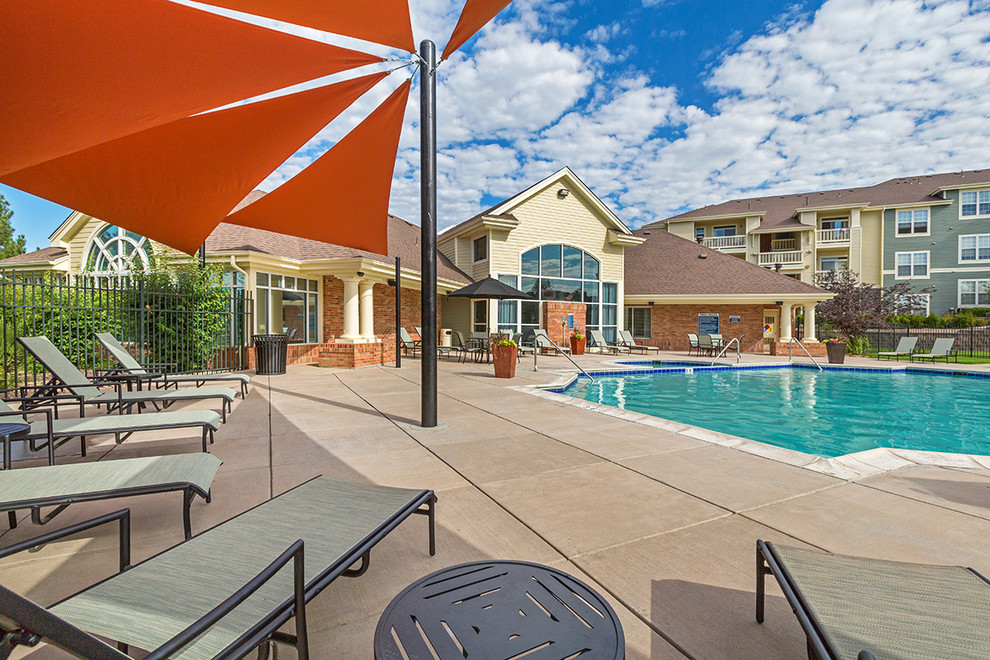 Commercial - Modern Pool - Modern - Pool - Denver - by Neil Podoll ...