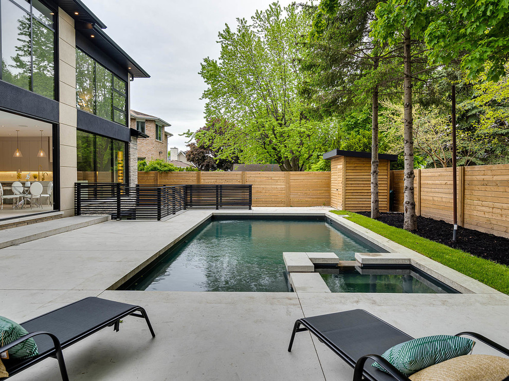 Constance - Contemporary - Pool - Toronto - by Fine Lines Design Inc ...