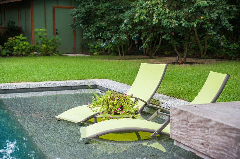 Contemporary Backyard Pool - Contemporary - Pool - Charleston - by Blue ...