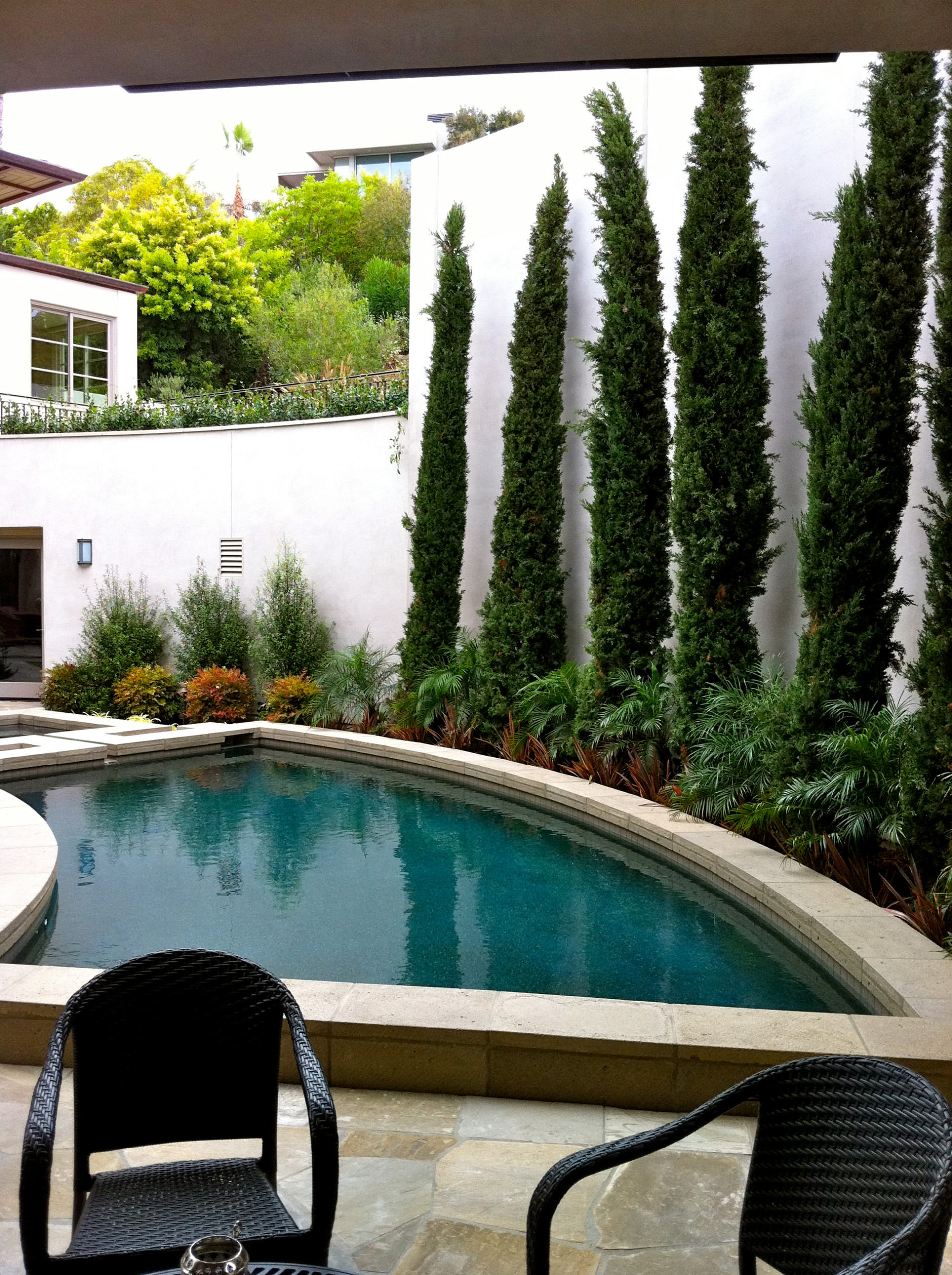 Italian Cypress Planting Ideas Best Store | www.oceanproperty.co.th