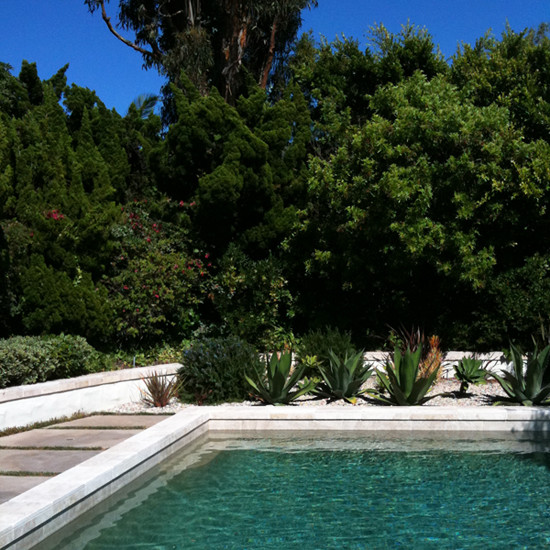 contemporary pool design - Contemporary - Pool - Los Angeles - by Moss ...