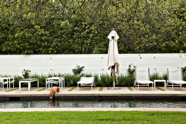 Contemporary Pool Contemporary Swimming Pool And Hot Tub Dallas
