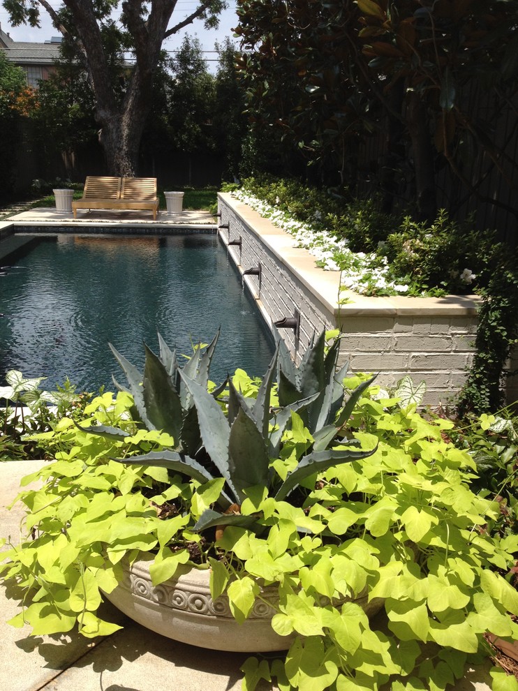Contemporary Spanish / Mediterranean eclectic - Mediterranean - Pool ...