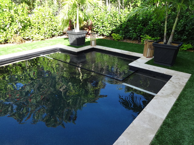 Contemporary Swimming Pool With Disappearing Spa - Shutowick ...