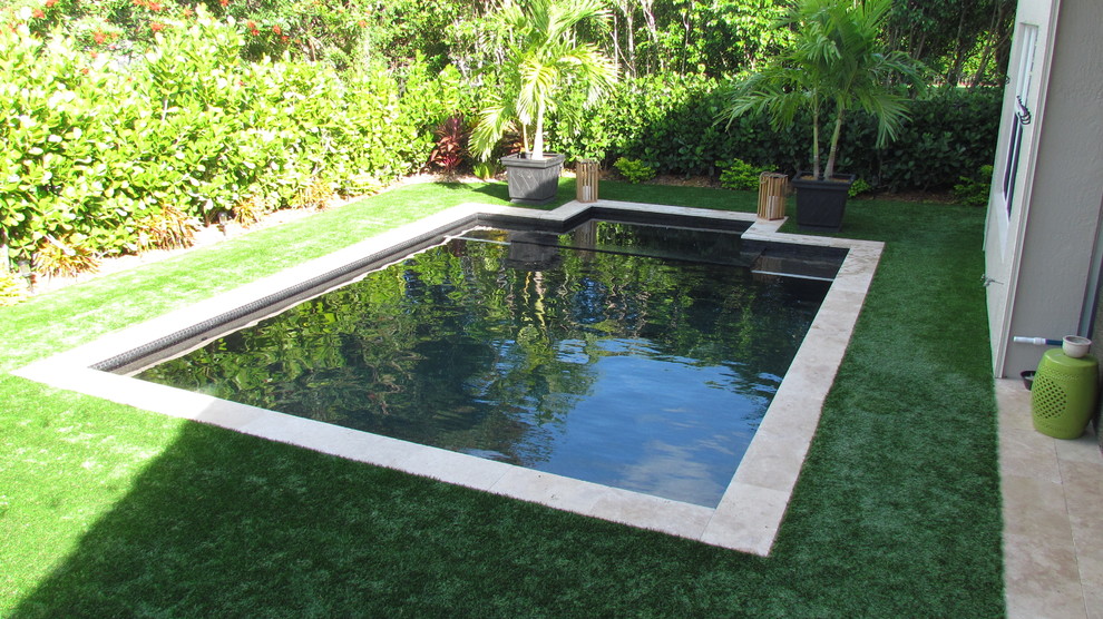 Contemporary Swimming Pool With Disappearing Spa - Shutowick ...