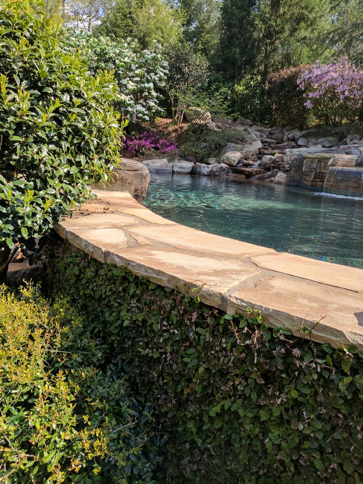 Country Club of the South Swimming Pool - Traditional - Pool - Atlanta ...