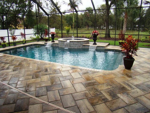 Custom Pools - Piscine - Tampa - par Exclusive Pools Inc | Houzz