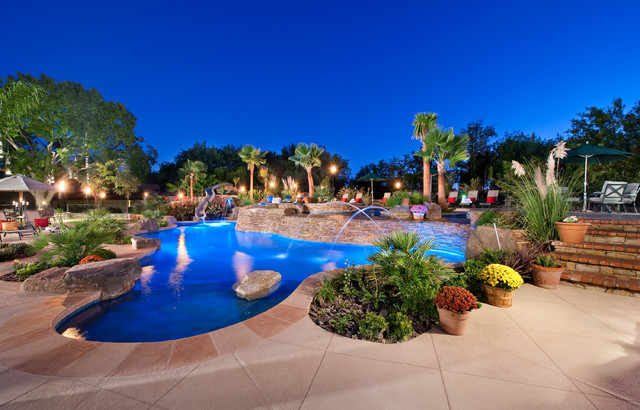 Custom Pools - Exotique - Piscine - Austin - par Silver Springs Pool ...