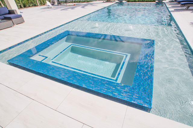Custom Spa With Infinity Edge Swimming Pool, Sunshelf and Water Bowls ...