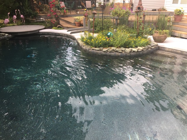 Dark Pool Interior Finish Demystified - Eclectic - Swimming Pool & Hot ...