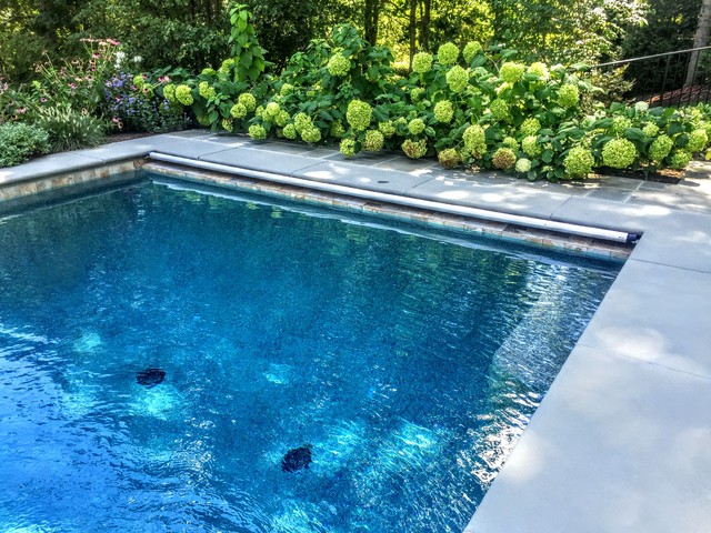 Edelman Residence - Traditional - Pool - Boston - by Environmental Pools, Inc. | Houzz AU