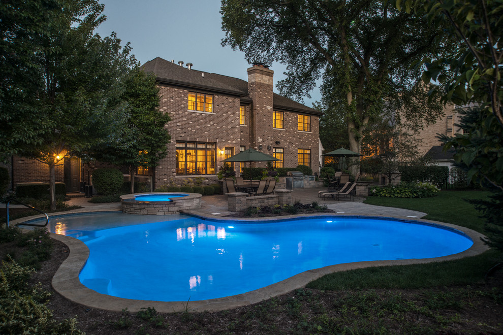 Elmhurst, IL Freeform Swimming Pool and Raised Spa - Rustic - Pool ...