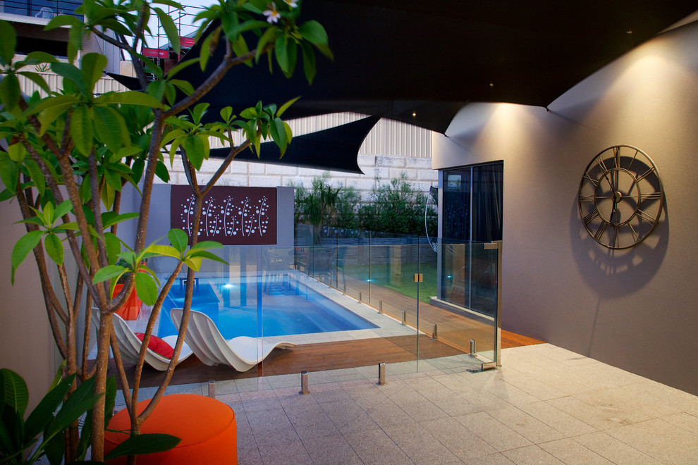 Empire - 6m x 3m - Contemporary - Pool - Perth - by Sapphire Pools | Houzz