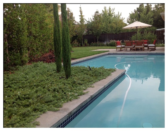 English Formal Suburban Gardens - Traditional - Pool - San Francisco ...