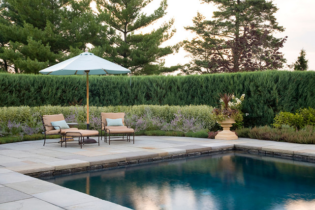 English manor home pool - Traditional - Swimming Pool & Hot Tub ...