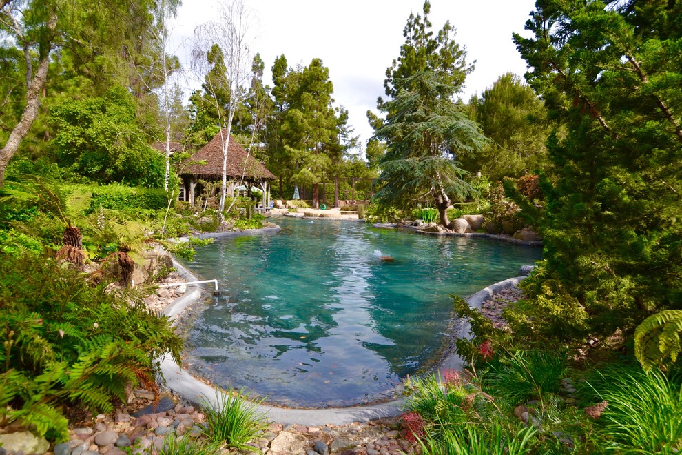 Fairbanks Ranch-Natural Swimming Pool and Whimsical Grounds - Rustic ...