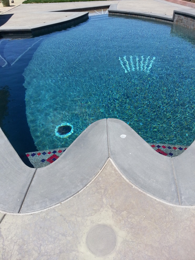 Fish Shaped Swimming Pool - Farmhouse - Pool - San Francisco | Houzz