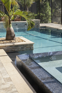 Fishhawk Ranch - Contemporary - Pool - Tampa - by Ryan Hughes Design ...