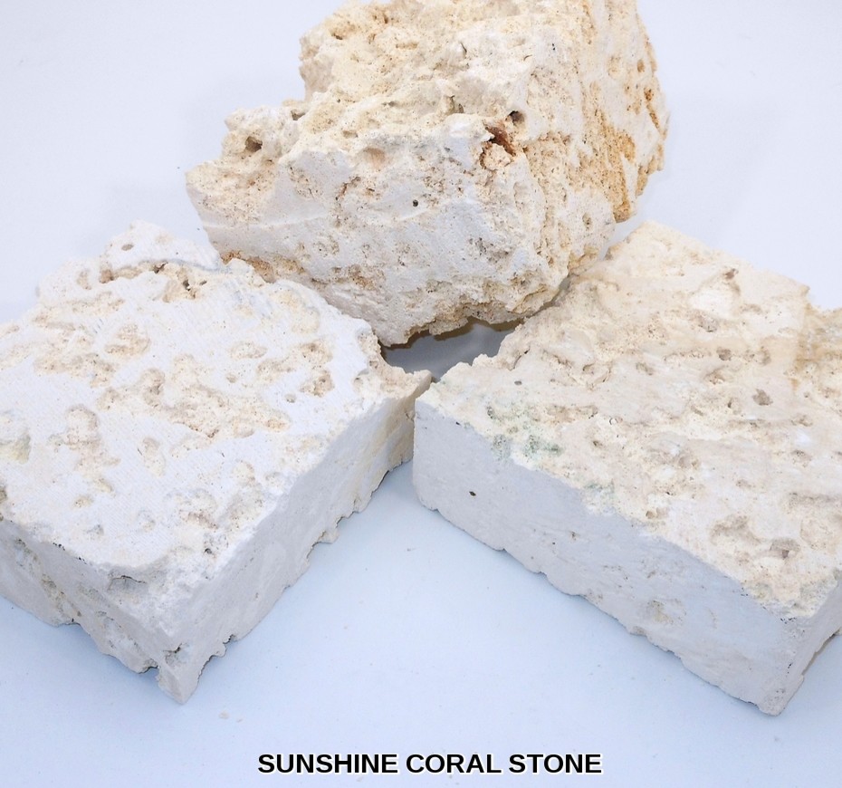 Florida Sunshine Oolite - Pool - Miami - by Coral Classics by A&P | Houzz