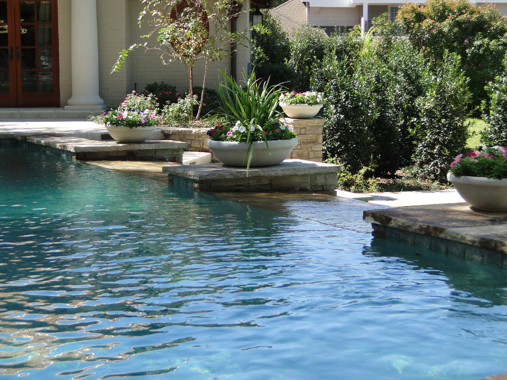 Formal Pool Classic, Elegant, Calming - Traditional - Pool - Dallas ...