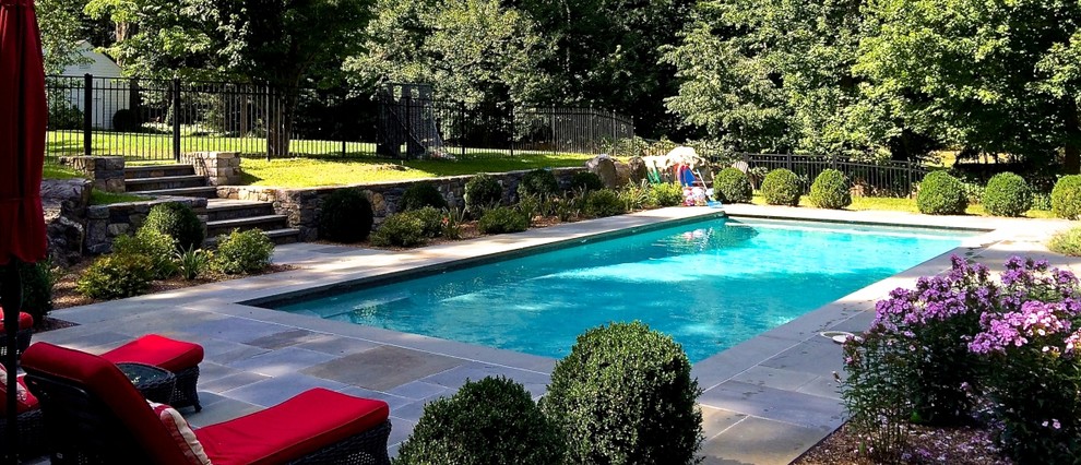 Formal Rectangular Gunite Pool with Traditional Landscaping - Klassisch modern - Pools - New ...