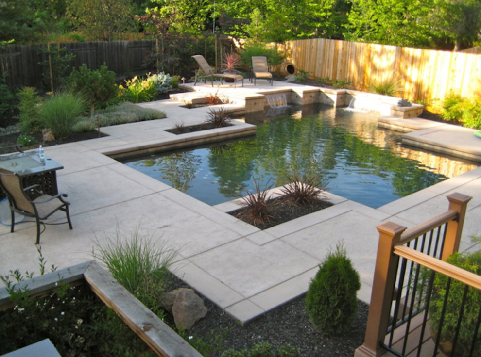 Free Form Design - Pool - Sacramento - by American Pools | Houzz