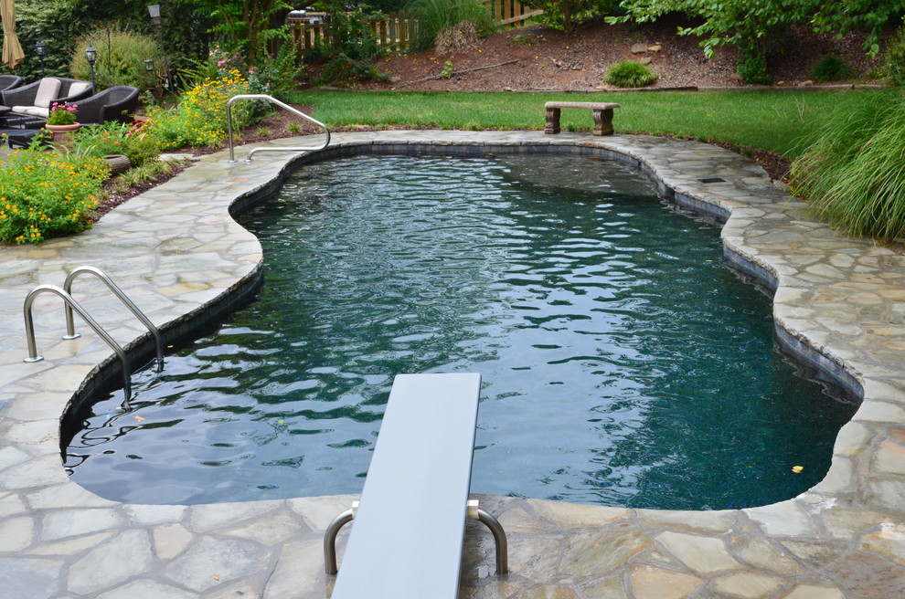 Free Form Gunite Pool - Traditional - Pool - Other - by Anchor Pools ...