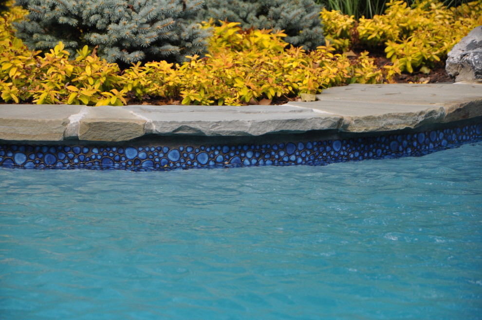 Free-form In Ground Pool - Contemporary - Pool - Philadelphia - by ...