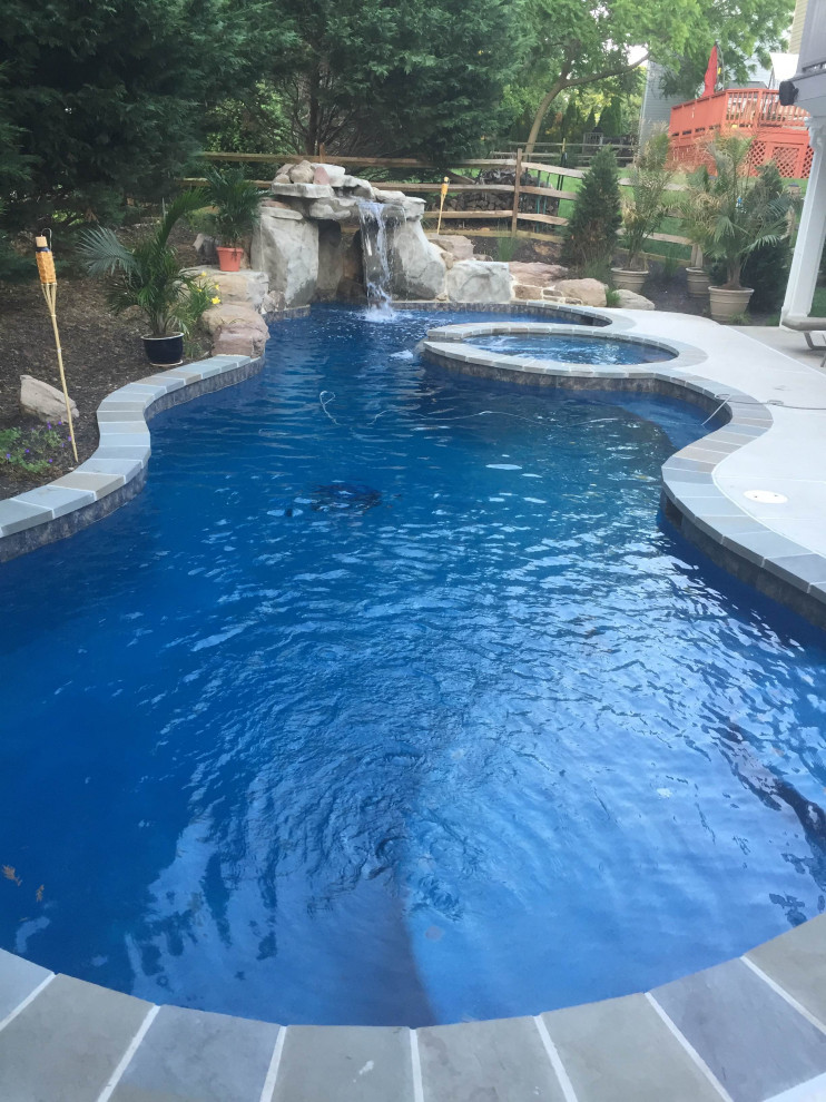 Free Form Pools - Pool - Baltimore - by Elite Pools | Houzz