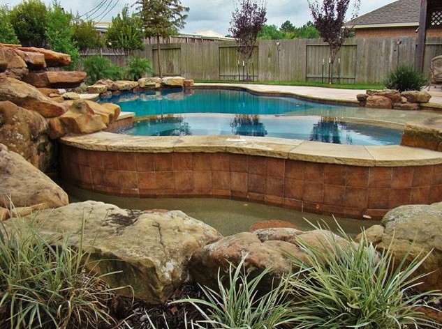 Free Form Pools - Modern - Pool - Houston - by Signature Pools of Texas ...