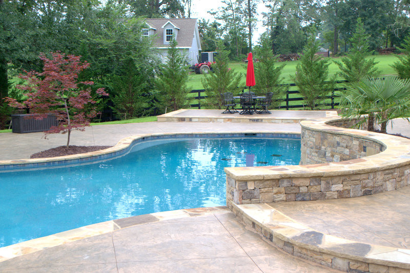 Freeform Gunite Pool in Powder Springs, Georgia - Traditional - Pool ...