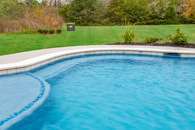 Freeform pool, Water Feature, Sun Shelf, Fire Pit and Pergola - Piscina ...