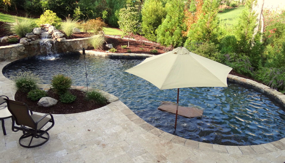 Freeform pool with in pool bar - Traditional - Pool - Raleigh - by ...