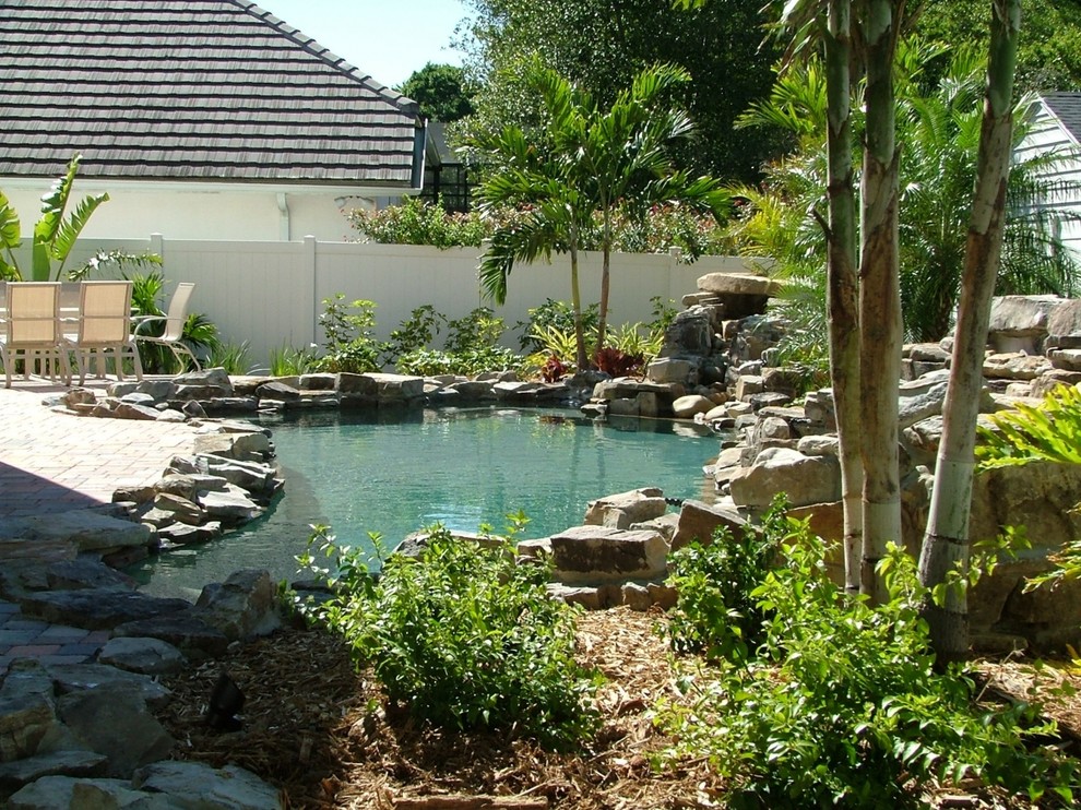 Freeform Pools - Tropical - Pool - Tampa - by Blue Sky Pools | Houzz