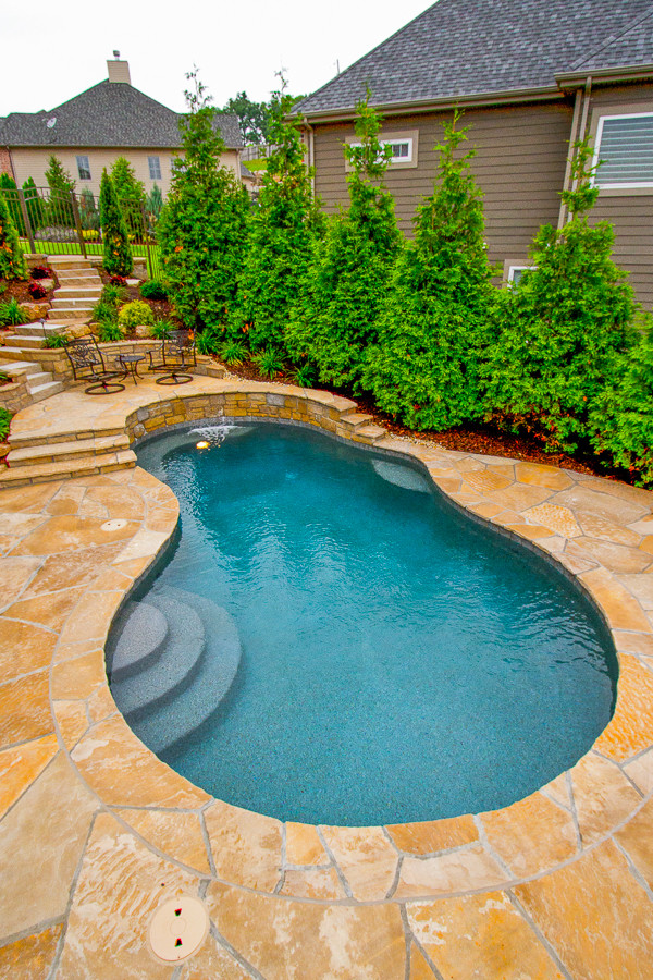 Freeform Pools - Traditional - Pool - St Louis - by Pool Specialists ...