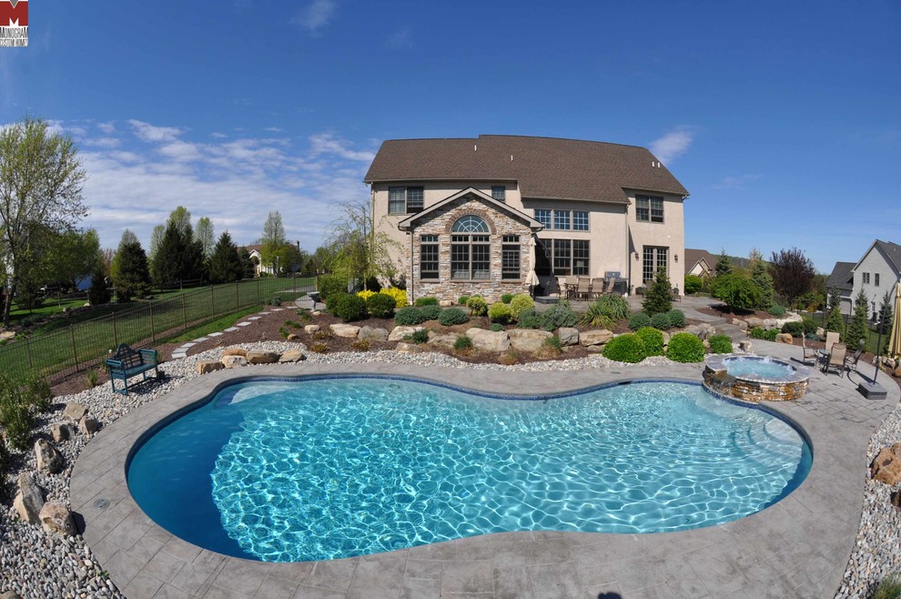 Freeform style in-ground salt water pool with raised spa - Contemporary ...