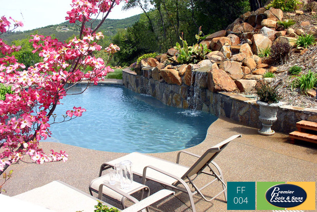 Freeform Swimming Pools - Contemporary - Swimming Pool & Hot Tub - Austin - by Premier Pools ...